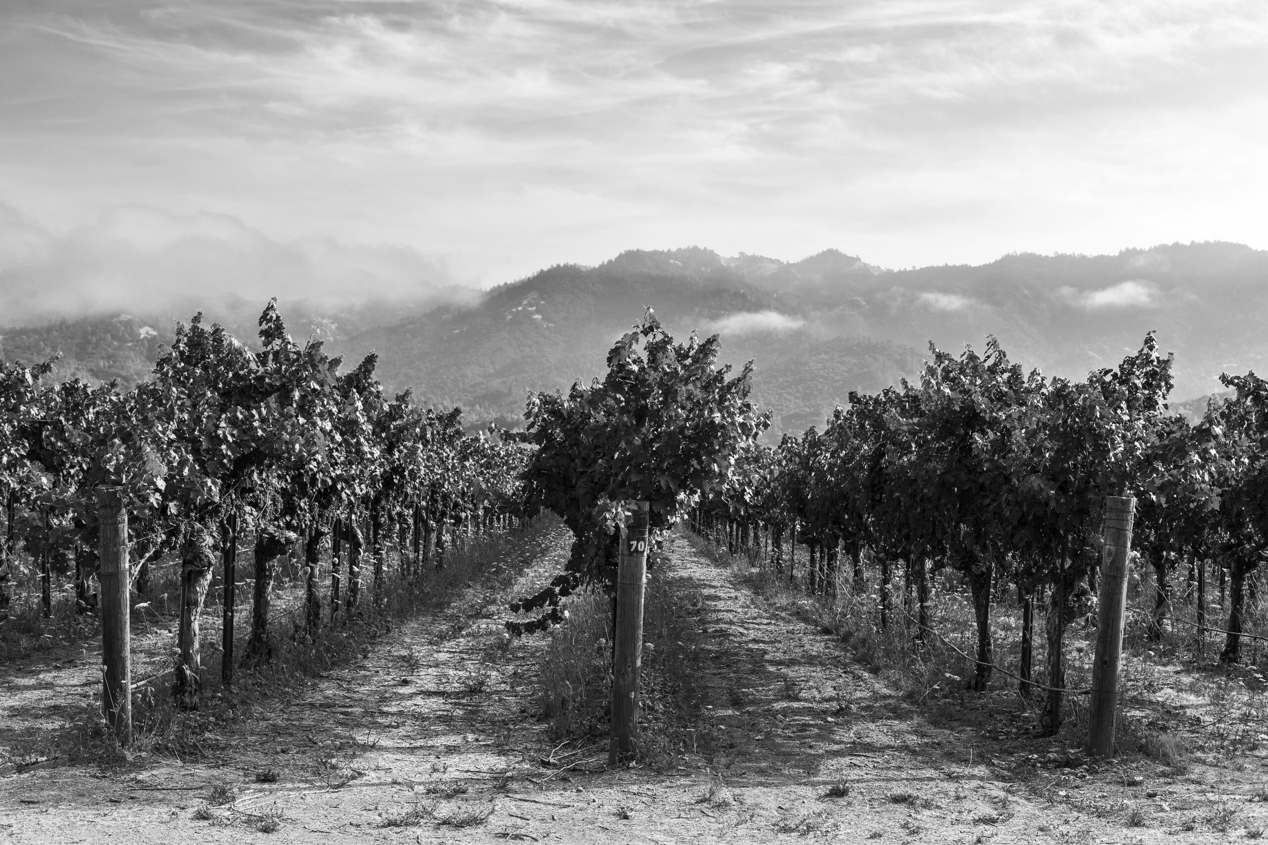 Dinner and Cocktail Menu - Ember Steak at Meritage Resort & Spa